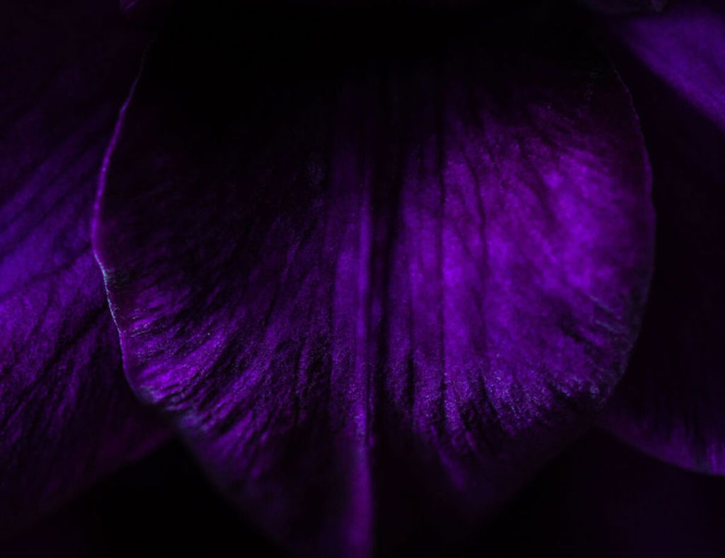 Wood coating, Stains, Pigmented, Metal Coating, Glass Coating - Woodver ...